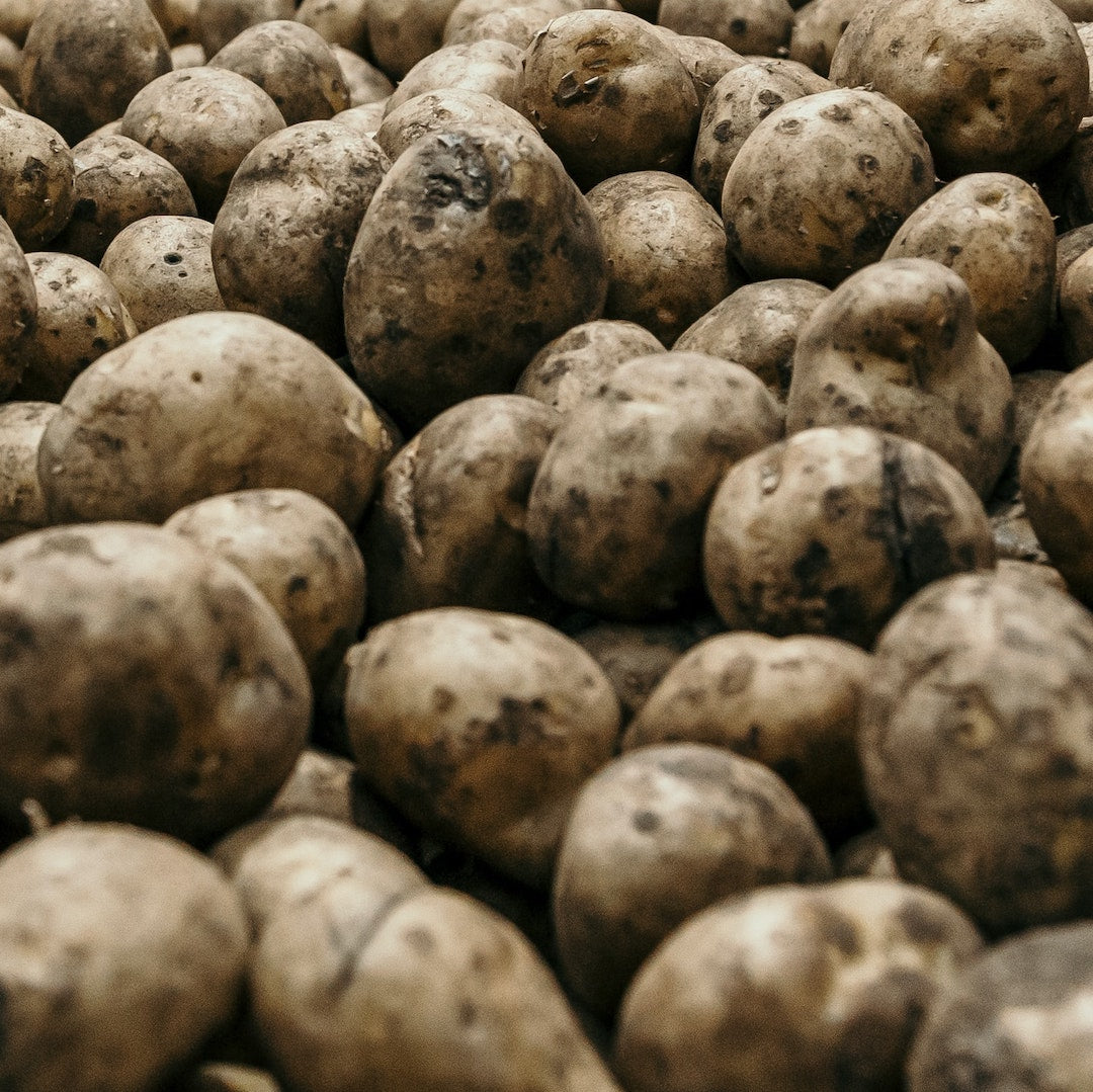 Potatoes - Wilja 25kg Sack – Reg the Veg